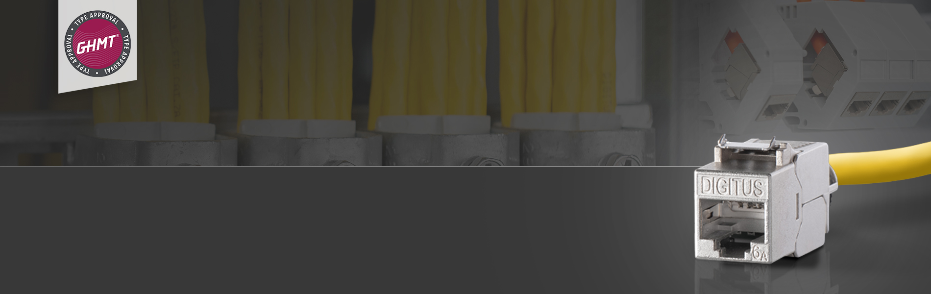 ASSMANN Electronic GmbH | Germany